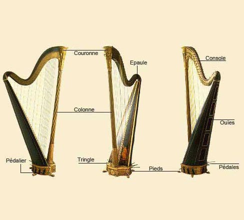 FMP Presanse - harpe